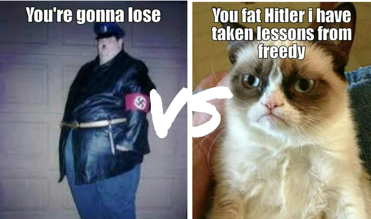 When Hitler challenges Cats to play FNAF | Fandom