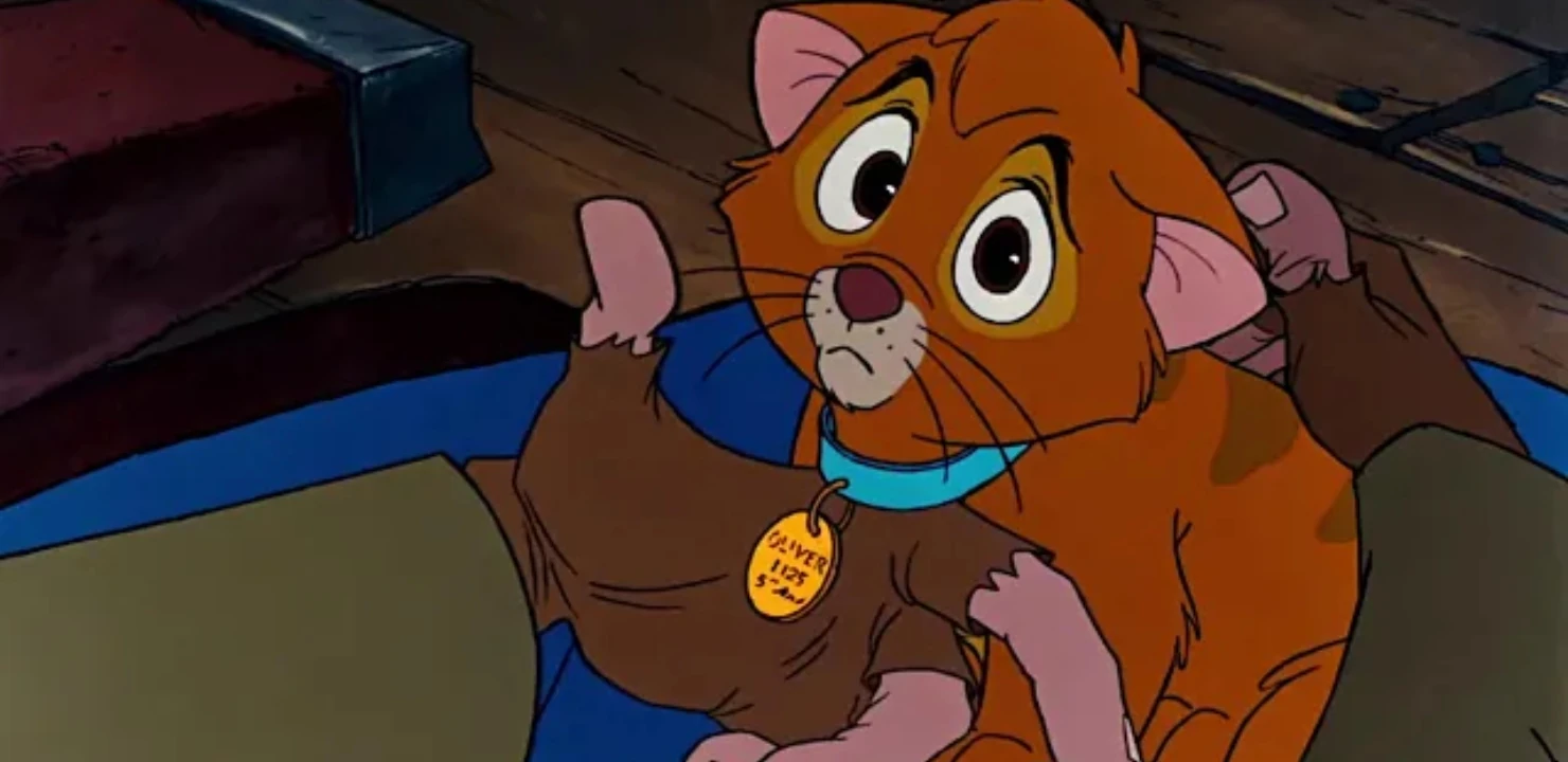 Look at Oliver face | Fandom