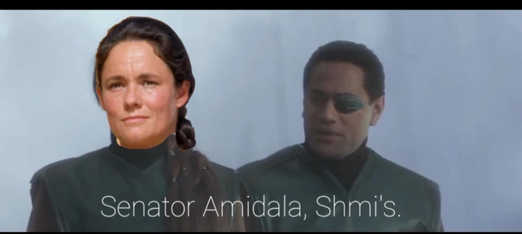 [Meme] Senator Amidala, (insert) | Fandom