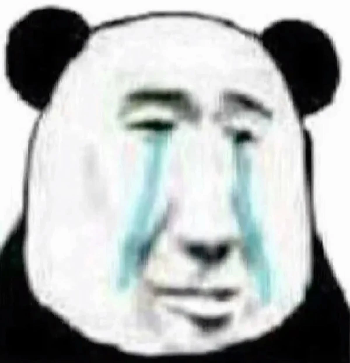 i have woken up | Fandom