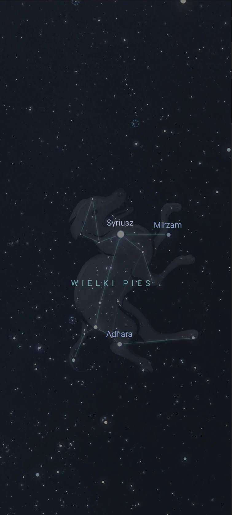 Discuss Everything About Harry Potter Wiki | Fandom