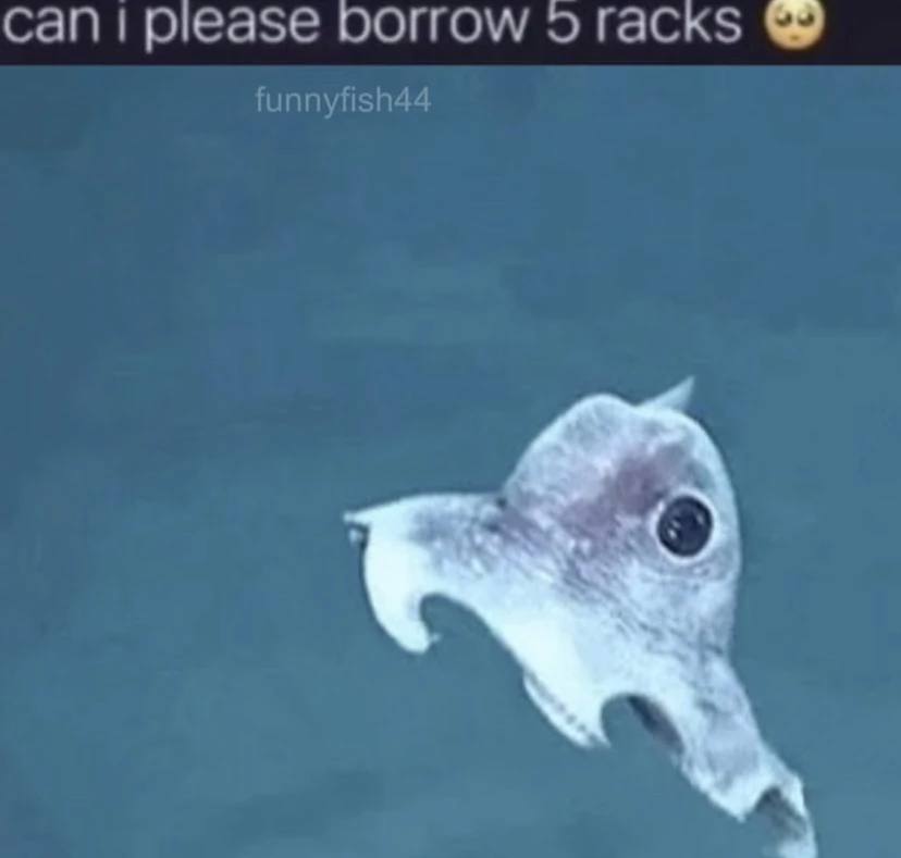 fish fact friday! | Fandom