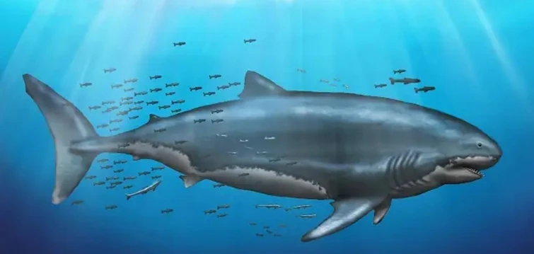 how accurate is this meg reconstruction | Fandom