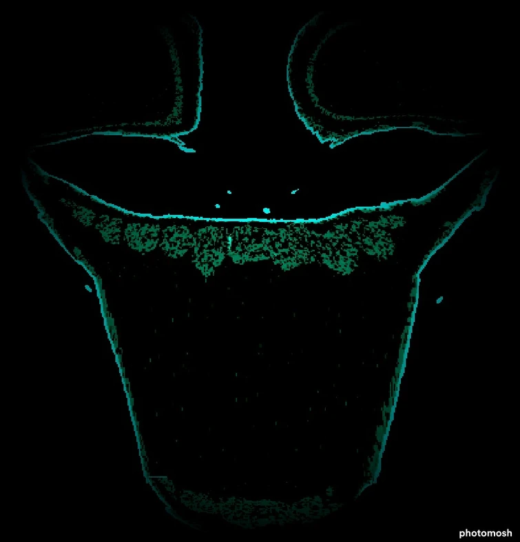 338 Replacement | Fandom