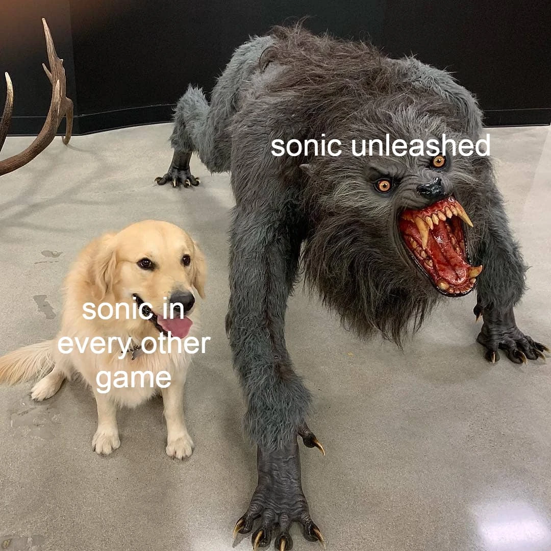sonic meme i made | Fandom