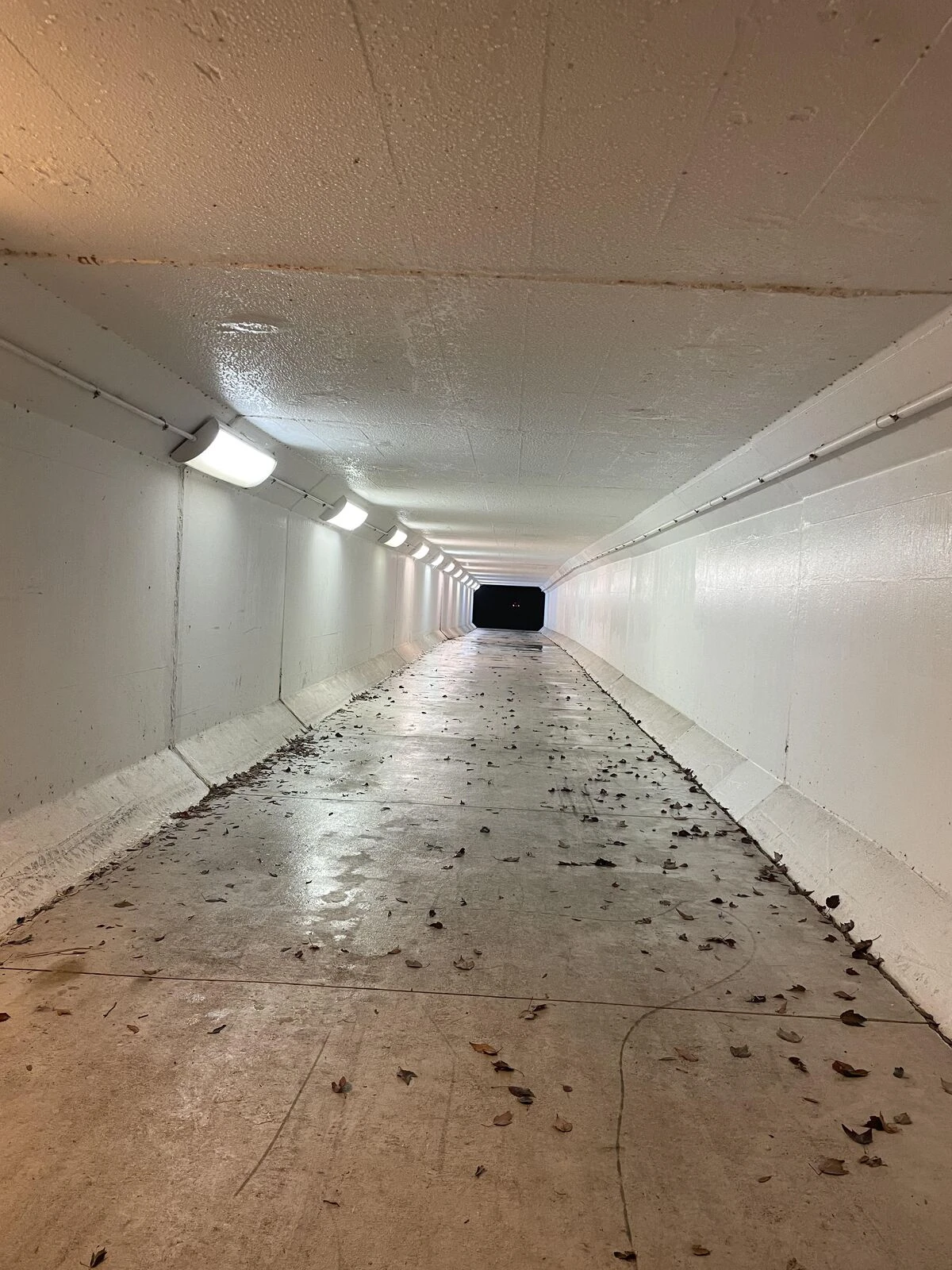 WHAT DO YOU THINK OF THIS LEVEL | Fandom