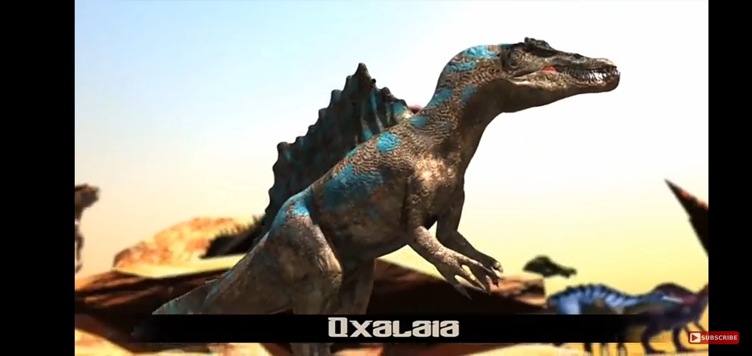 My DBWC S1 finalists | Fandom