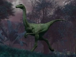 I tried finding "Kelly" on search | Fandom