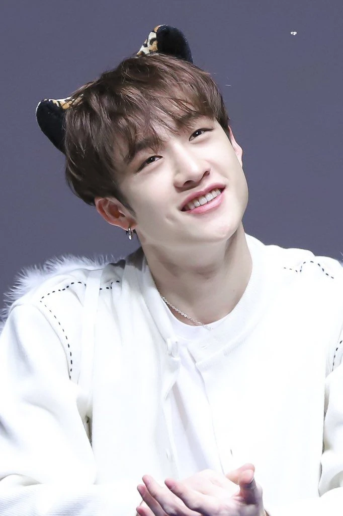 Chan pics to make ur day better~~ | Fandom