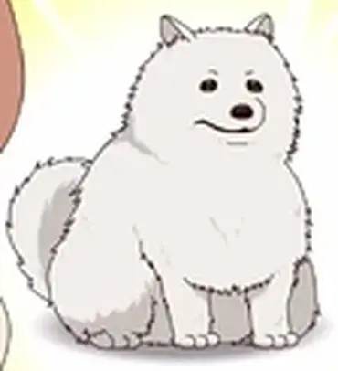 Samo-chan or Shiraishi Ken | Fandom