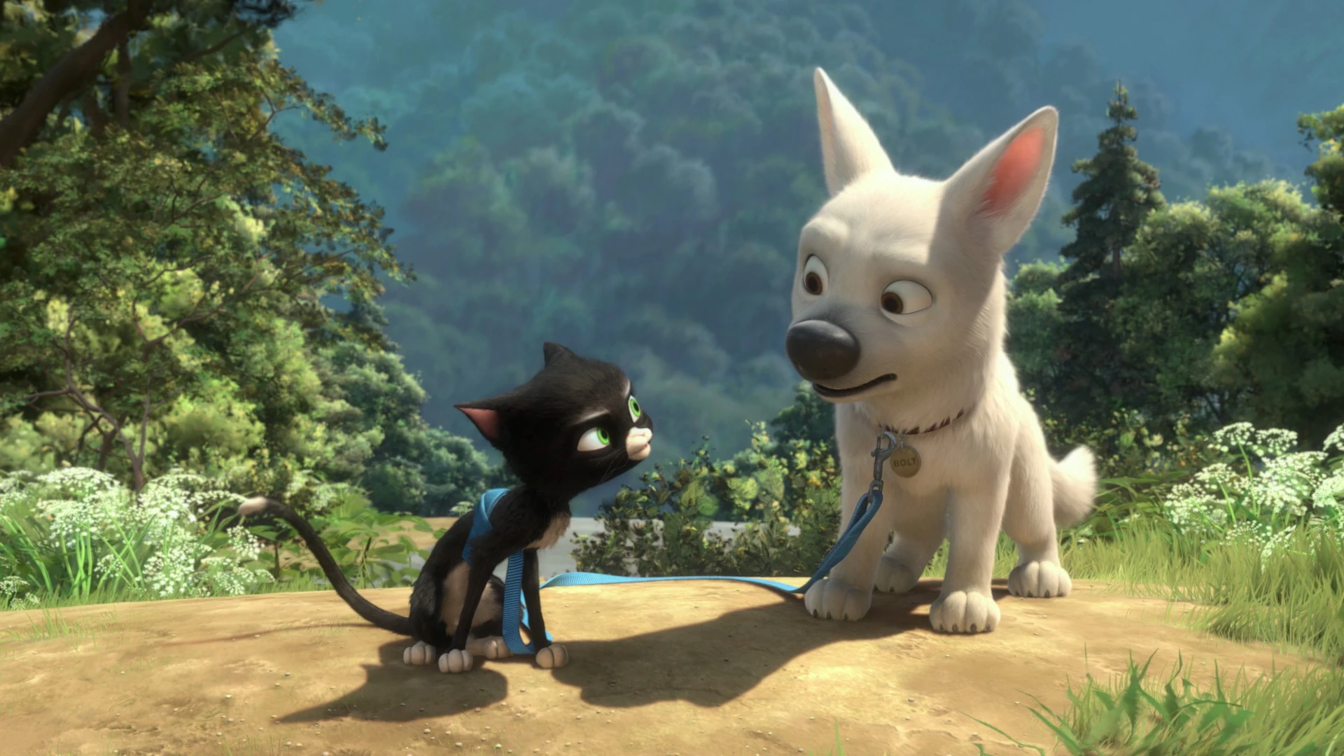 To all you Bolt fans out there I'm curious, what do you all think of ...