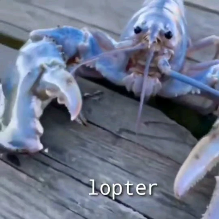 Meangpt choose something | Fandom