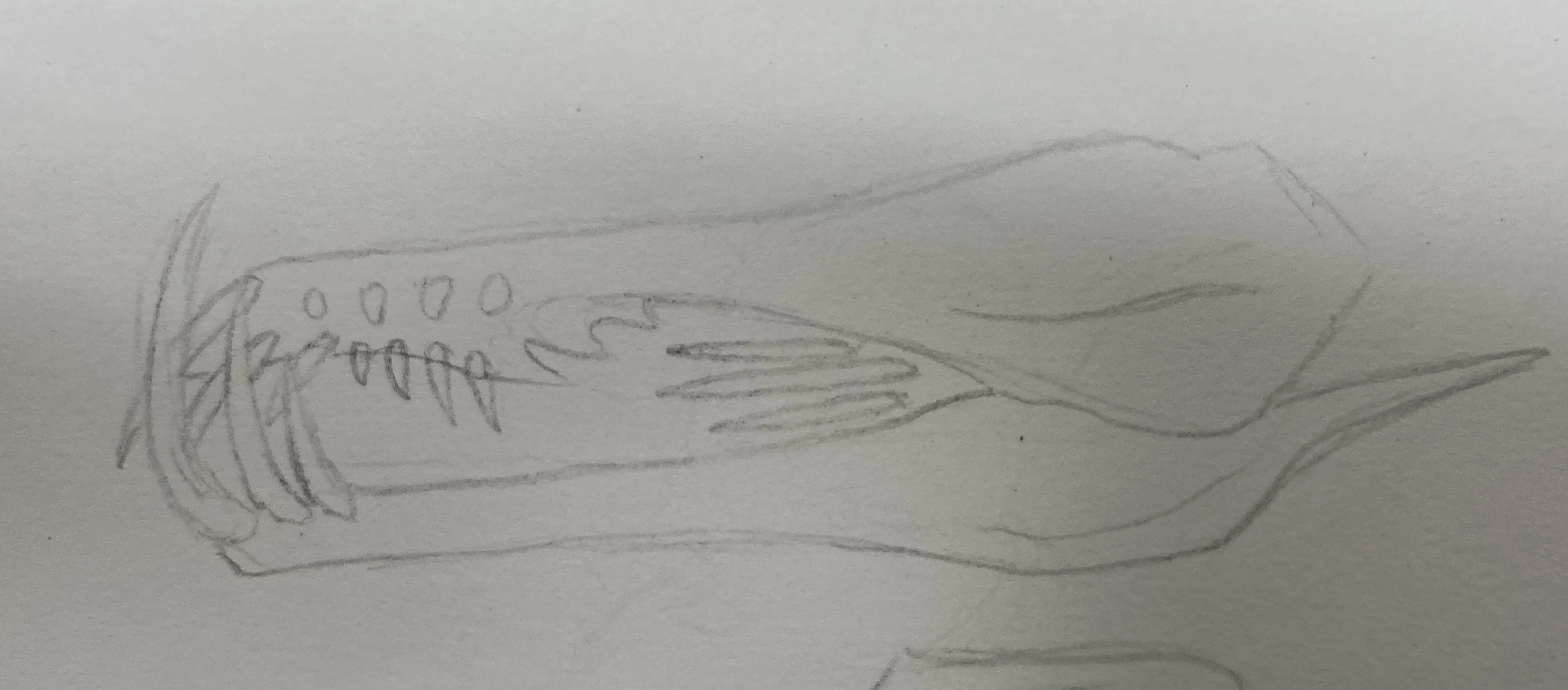 Skull #7 | Fandom