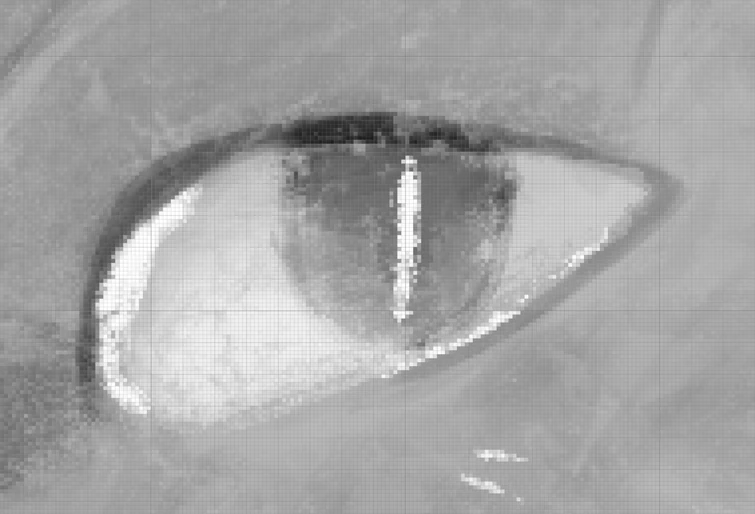 eyeball gaming | Fandom