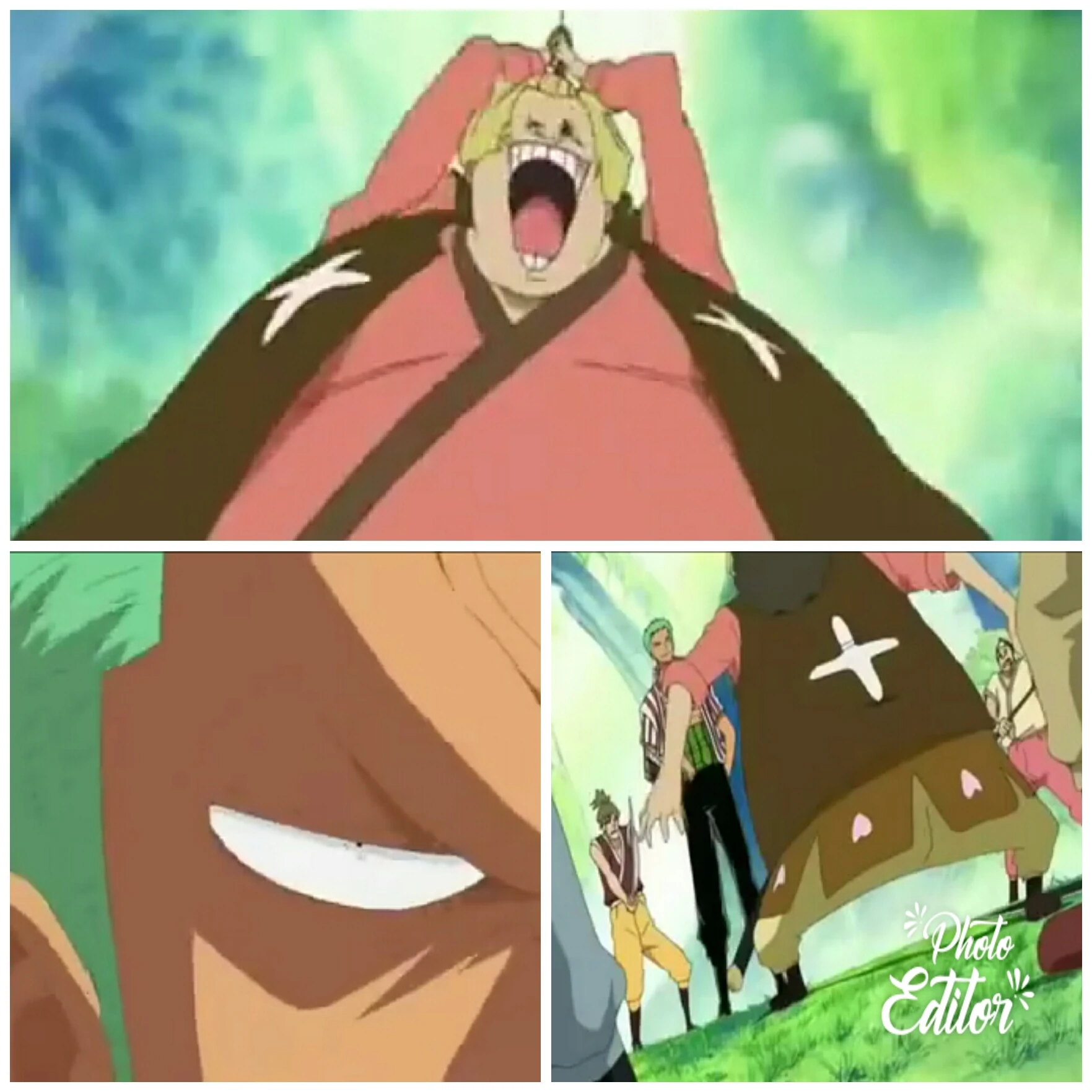 Zoro's CoC or something else!? | Fandom