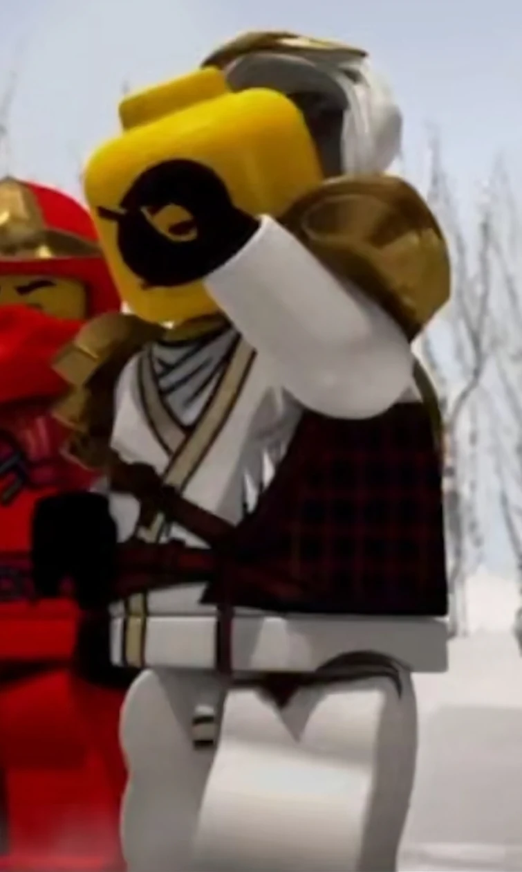 And this is why we don't pause Ninjago! | Fandom