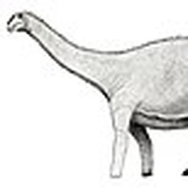 Discuss Everything About Dinopedia | Fandom