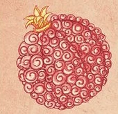 Ketsu Ketsu no Mi concept | Fandom