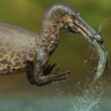 Discuss Everything About Dinopedia | Fandom