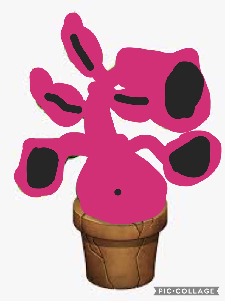 Legendary pot belly and Pom Pom | Fandom