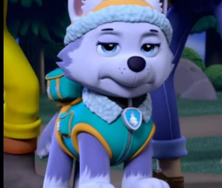 Ok I think ima go to sleep | Fandom