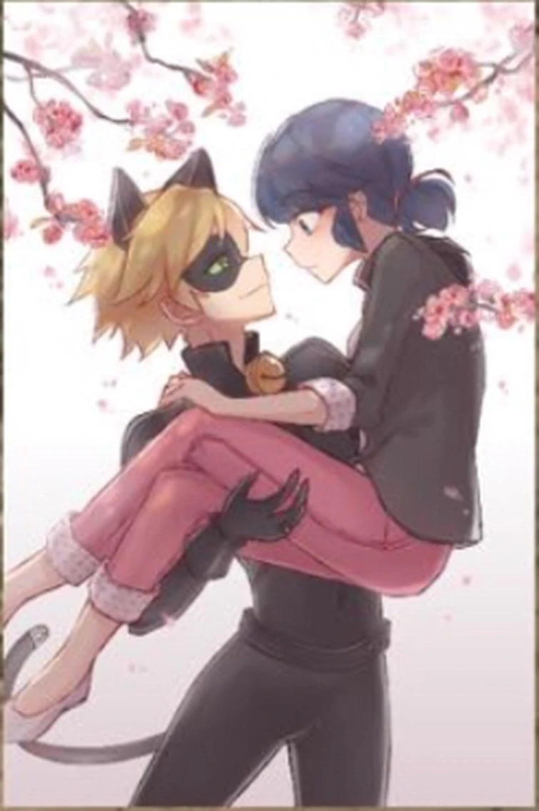 Maricat! Post images or fanart of Maricat! | Fandom