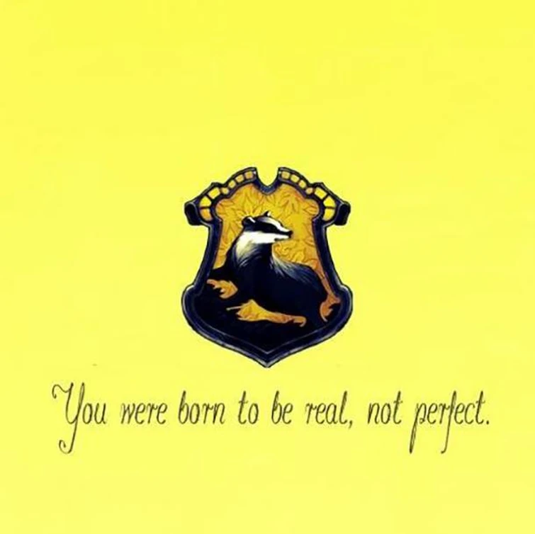Hufflepuff Quotes Harry Potter Quotes Hufflepuff Long Sleeve T Shirt