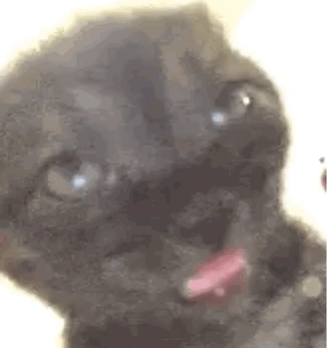 icl ts pmo sm | Fandom