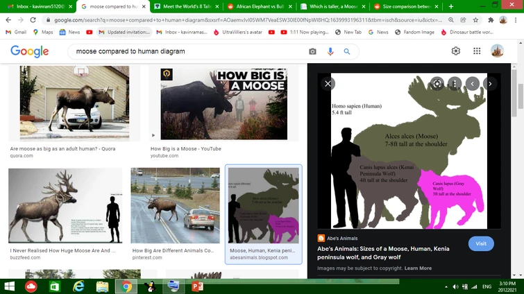 guys moose are the size of elephants | Fandom