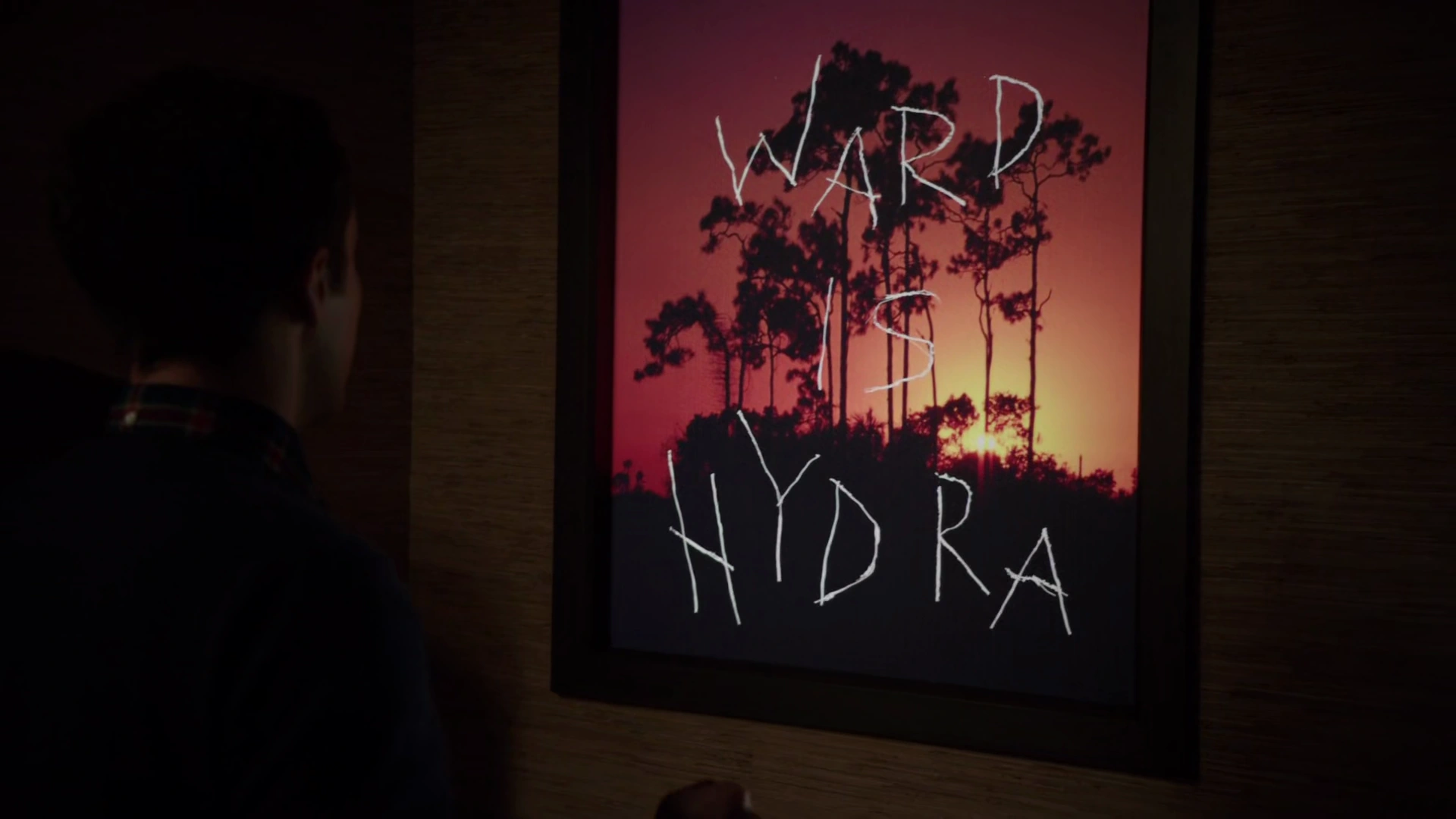 Scene Discussion #46 - Ward is HYDRA | Fandom