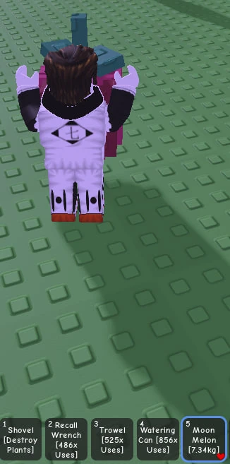 I received a smaller-sized moon melon than the one listed on the wiki ...