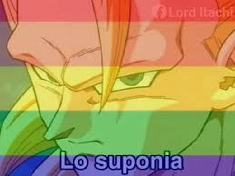 Chat (17 de enero) | Fandom