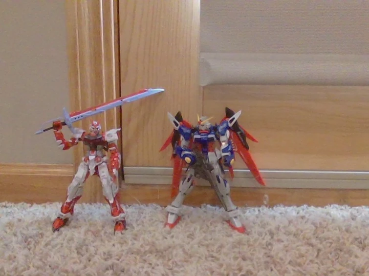 destiny with the beam magnum | Fandom