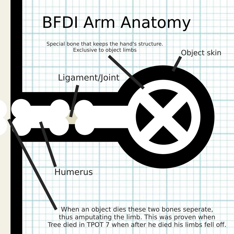 BFDI Arm Anatomy! | Fandom