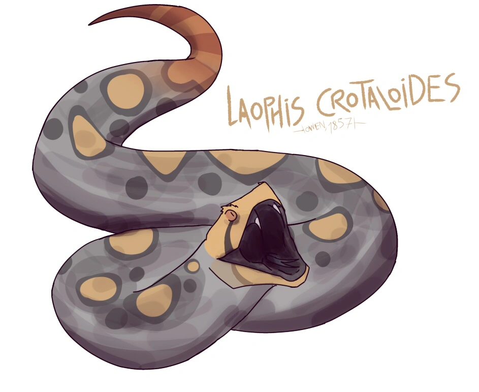 Laophis drawing | Fandom