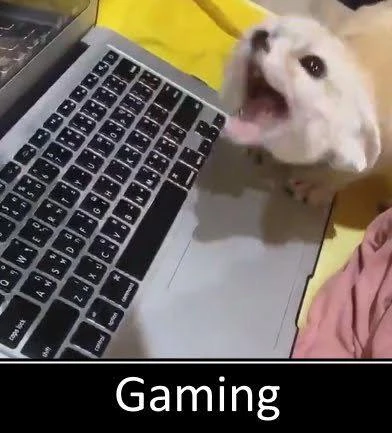 Gaming | Fandom