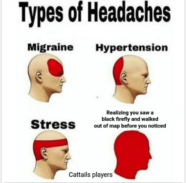 A bunch of random Cattails memes | Fandom