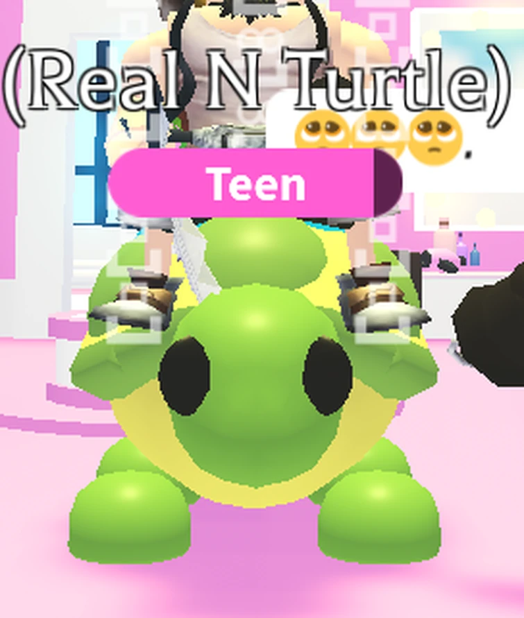 omg i got a neon turtle | Fandom