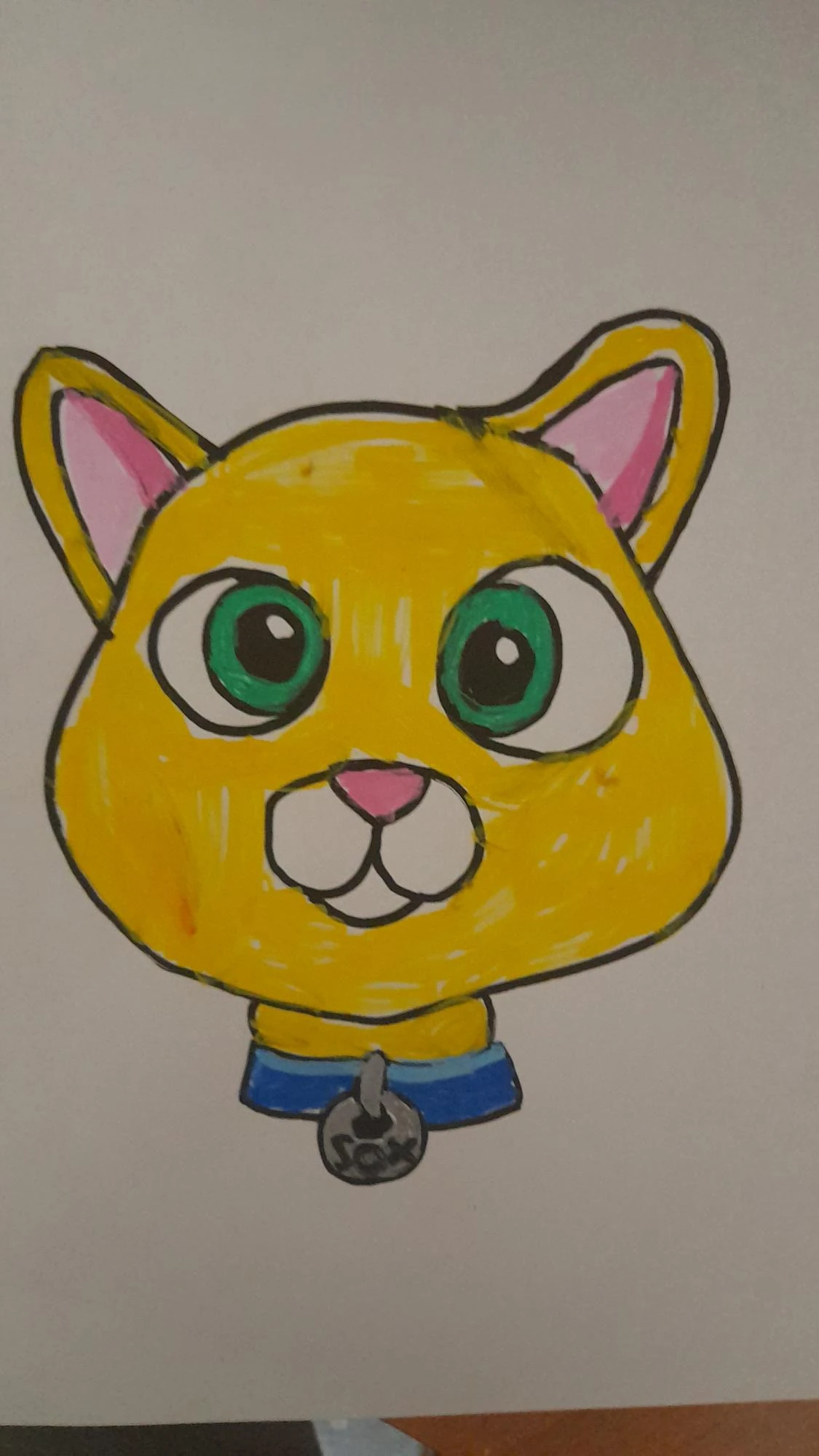 My Posca pen drawing of Sox | Fandom