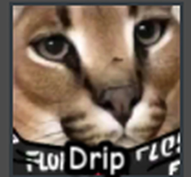 Floppa Drip | Fandom