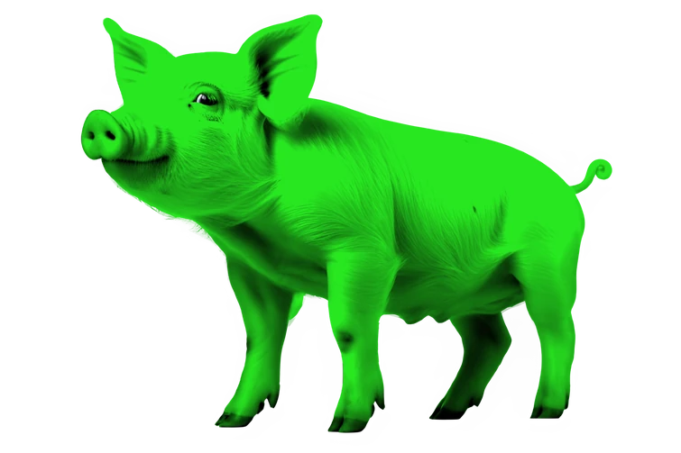 Anatomically/Biologically Accurate Minion Pig | Fandom