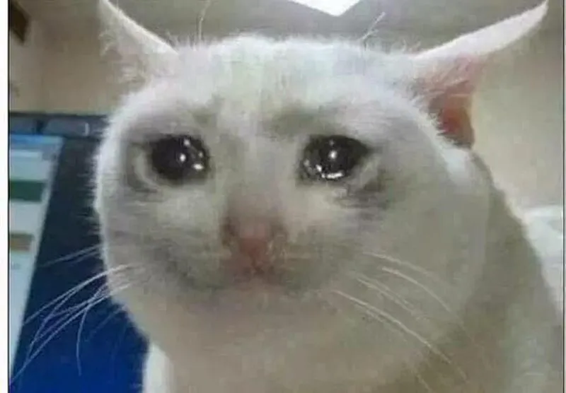 Me after beating chapter 4 and see Calpso saying sorry to his captain ...