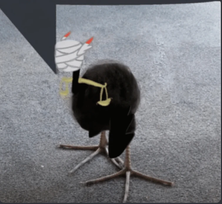 which one is not a bird | Fandom