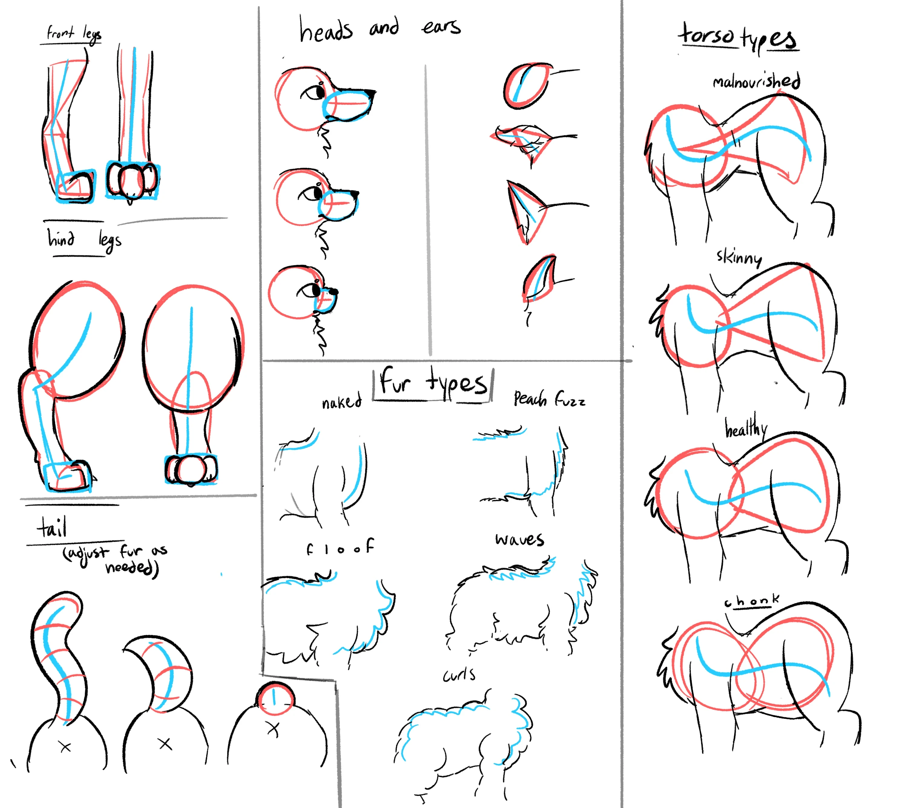 animal drawing guide! | Fandom