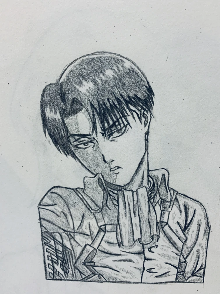 Levi | Fandom