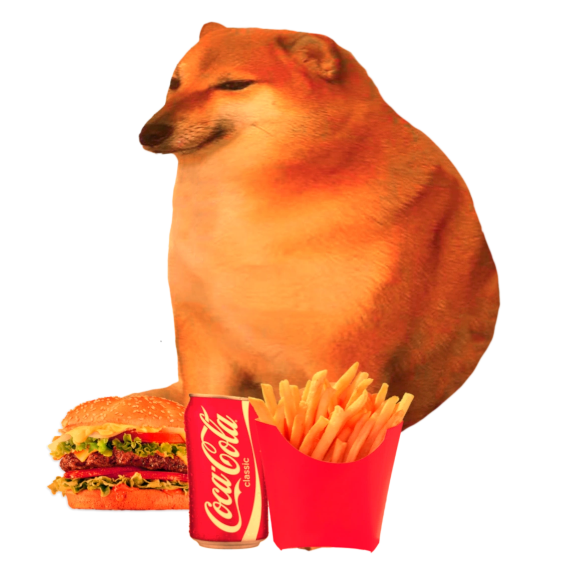 Find Cheems (59) Diffculity: Easy | Fandom