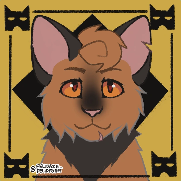 Nightheart and Sunbeam need kits! | Fandom