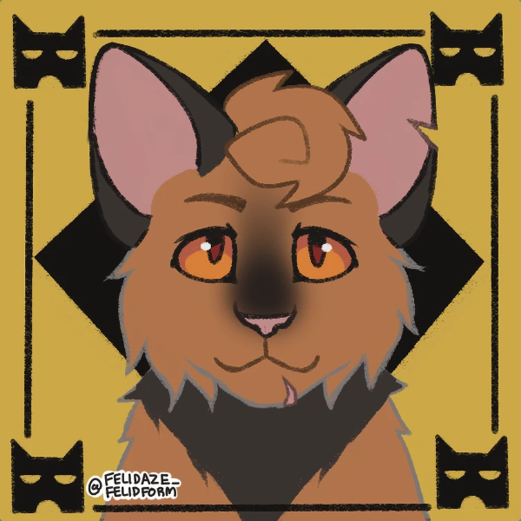 Nightheart and Sunbeam need kits! | Fandom