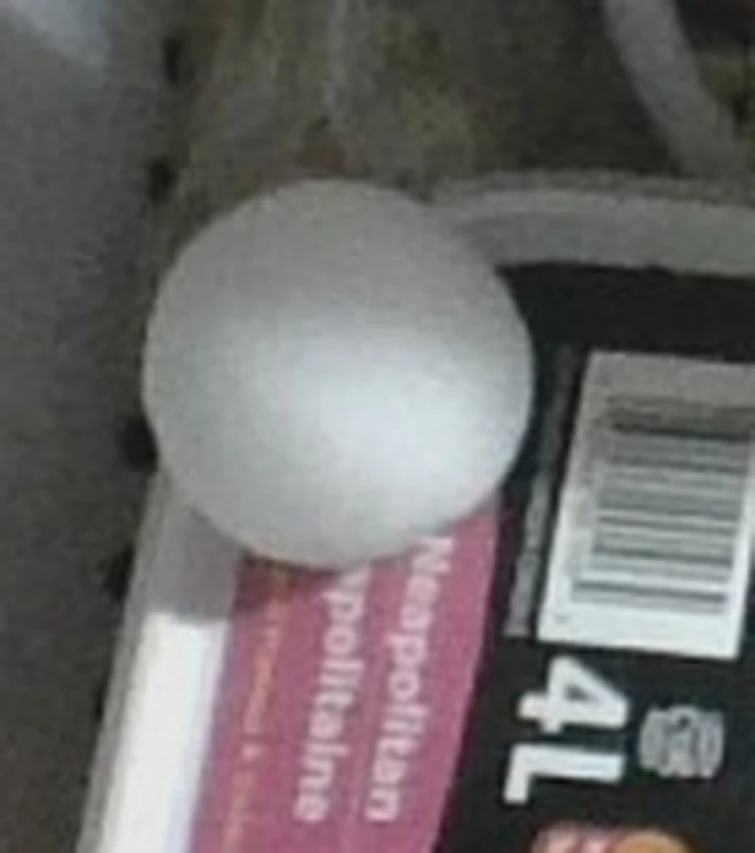 I put a snowball in my fridge/freezer | Fandom