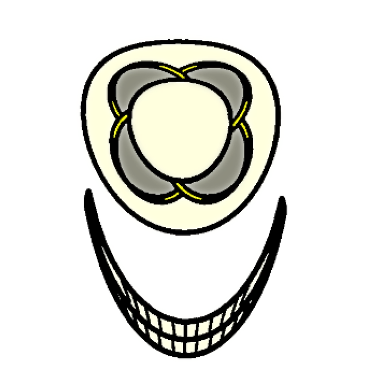 B-220 concept | Fandom